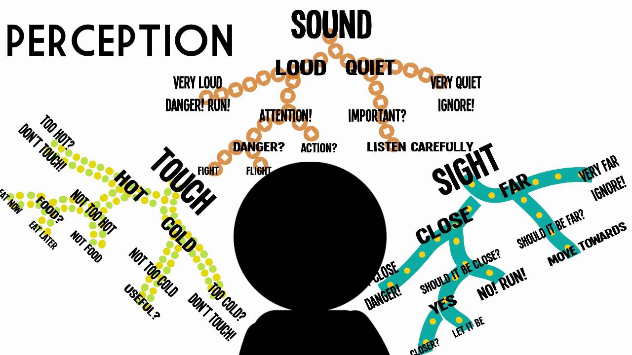 Sensation & Perception: Information Processing in the Brain