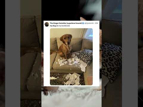 "Subscribe for more Funniest Tweets of the Week 😂 | Relatable Twitter Memes Compilation"