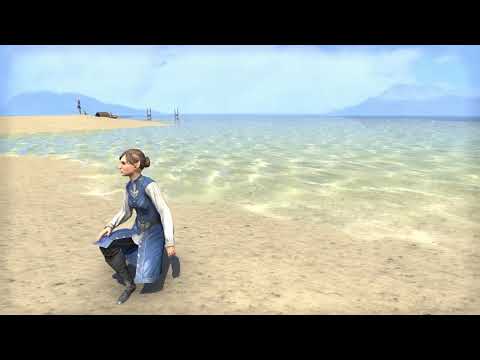 ESO Fashion | Tracker Emote (Elder Scrolls Online)