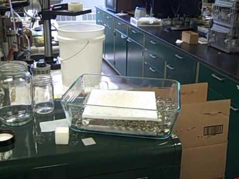Michigan State University Assistant Professor of Engineering Jeff Sakamoto on his energy research