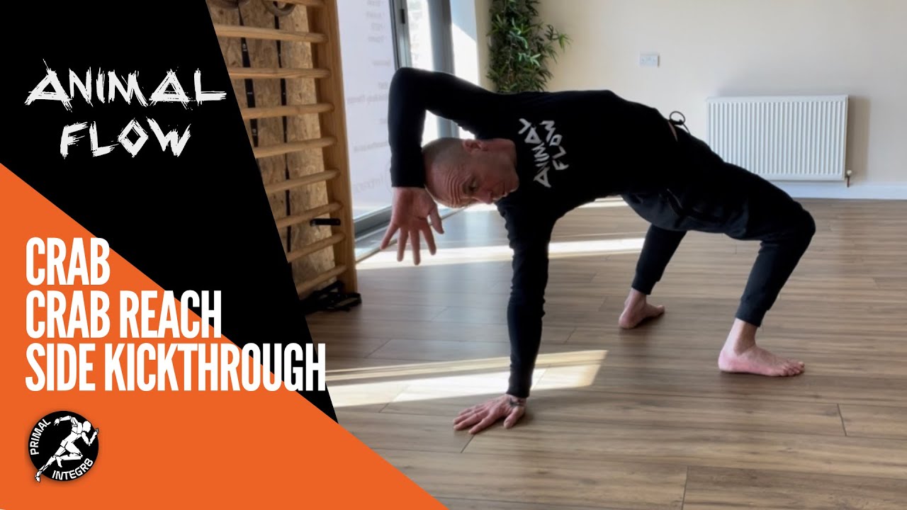 Animal Flow sequence  Crab - Crab reach   Side kick thru