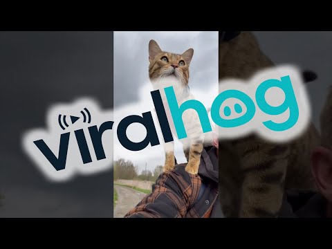 This Cyclist has a Feline Co-Pilot || ViralHog