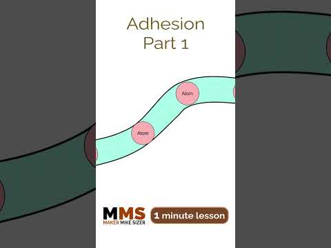 Adhesion Part 1 #shorts