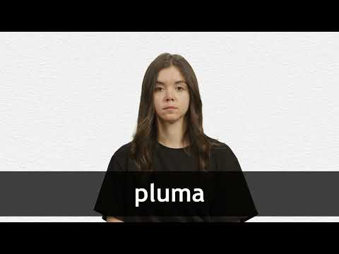 English Translation of “PLUMA” | Collins Spanish-English Dictionary