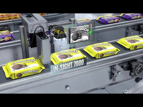 Inspection Vision Systems - Cognex Vision System from Nashik