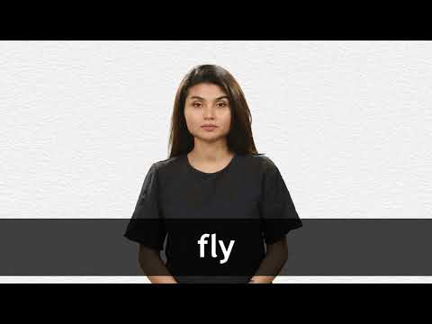 FLY definition and meaning | Collins English Dictionary
