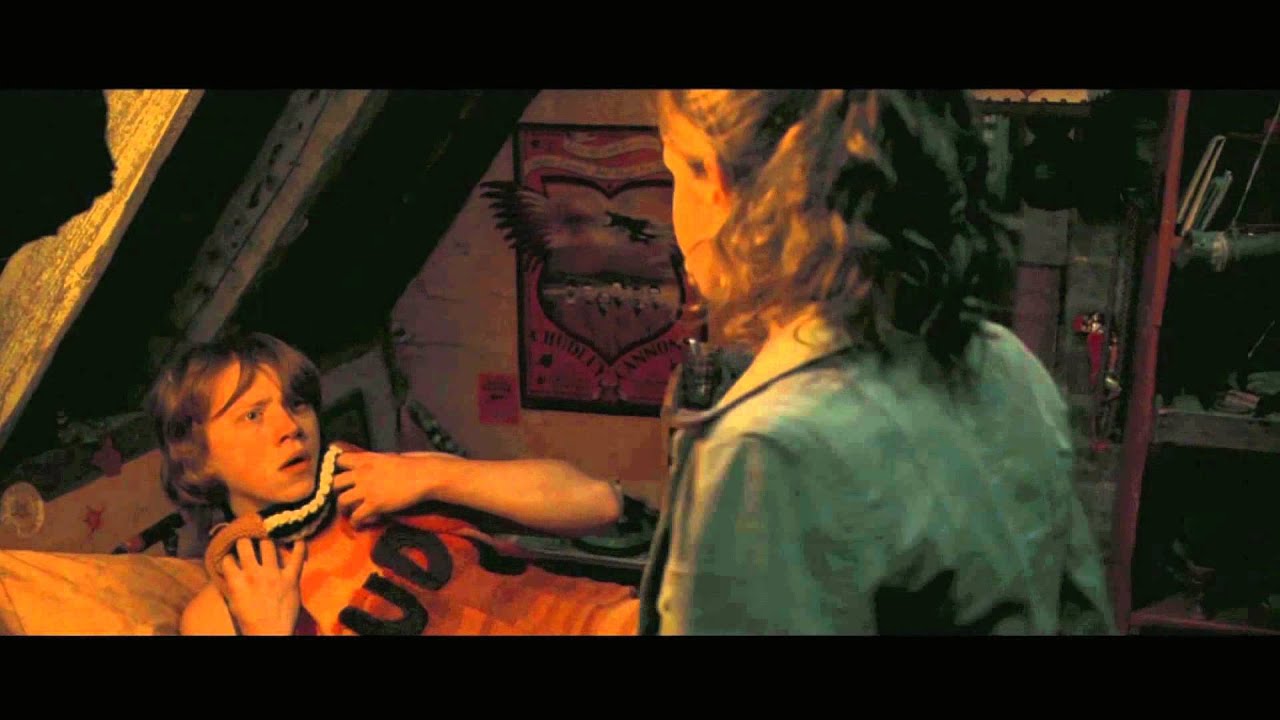 Harry Potter: Every 