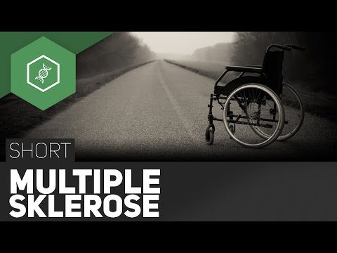 Multiple Sklerose – Selbstzerstörung des Körpers?!