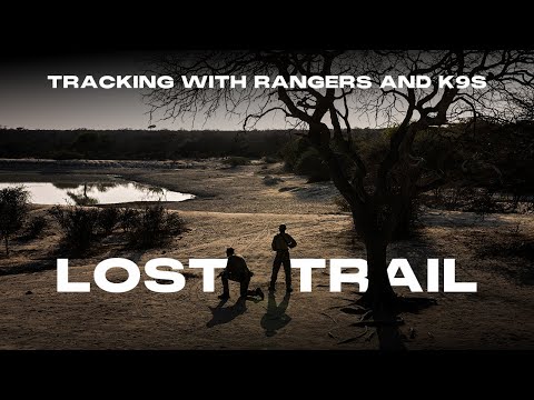 The Lost Trail | Pro's Guide to Tracking with Rangers and K9s