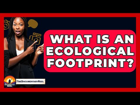 What Is An Ecological Footprint? - The Documentary Reel