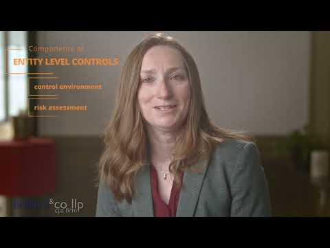 Entity-Level Controls: Organizational Impact & The Audit Process