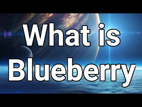 What is Blueberry. Urdu /English