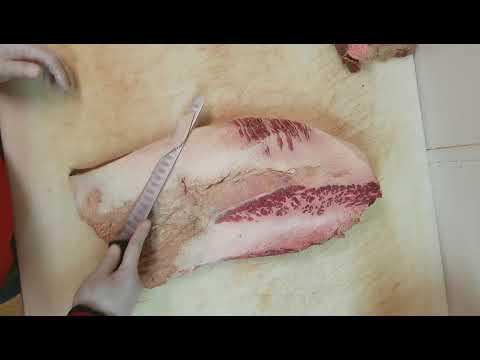 IBCA competition brisket trim