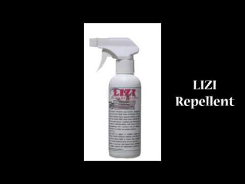 Lizard Repellent at Best Price in India
