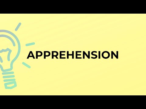 What is the meaning of the word APPREHENSION?