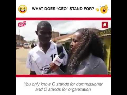 What does "CEO" stands for