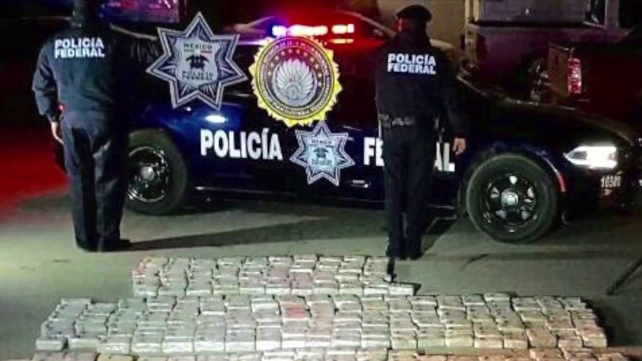 Policía Federal asegura más de 400 kilogramos de marihuana