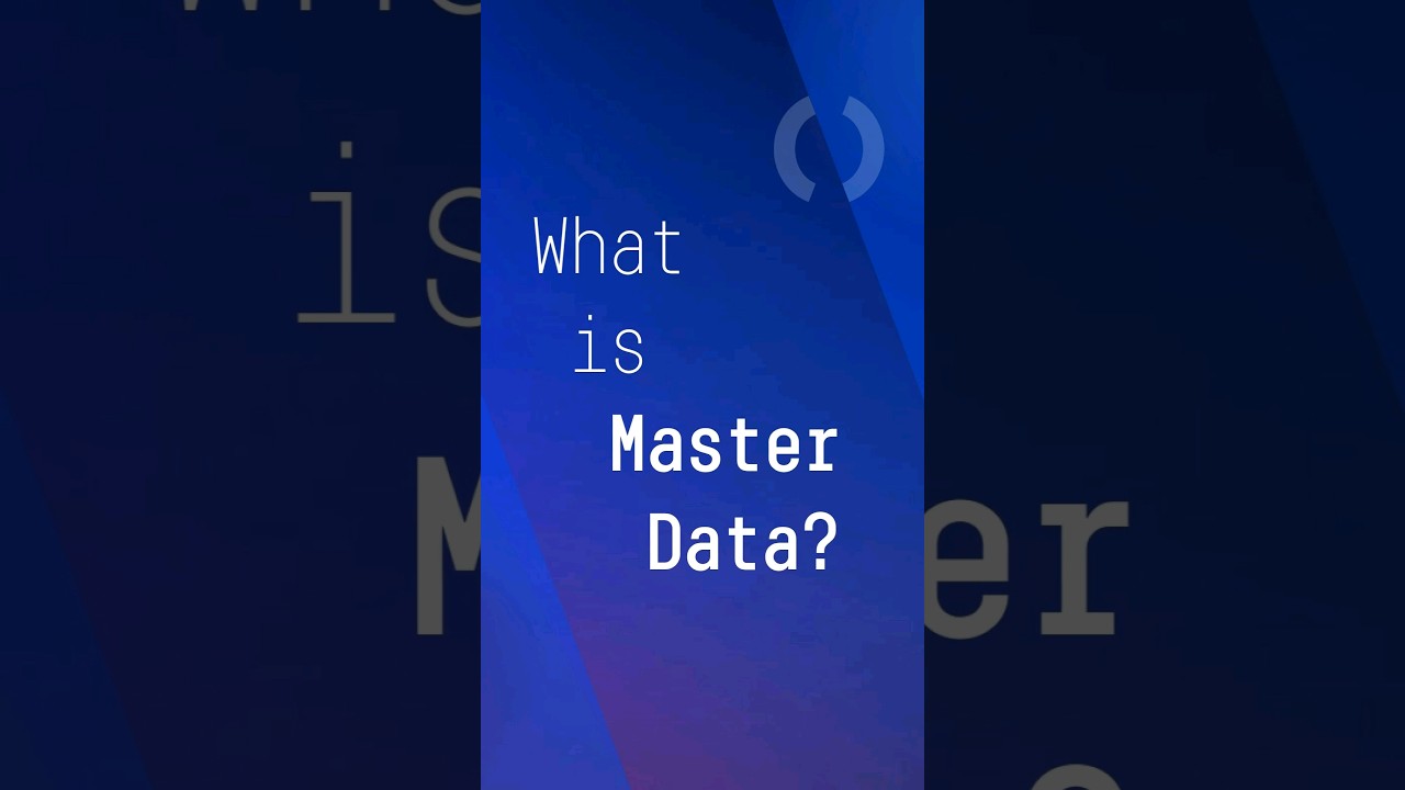 What is Master Data?