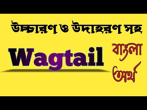 Word Meaning of Wagtail । Wagtail এর বাংলা অর্থ @bangladictionary