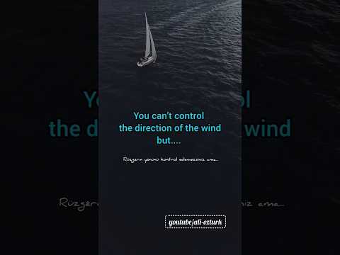 You can’t control the direction of the wind, but... #quotes #facts #subscribe #motivation #shorts