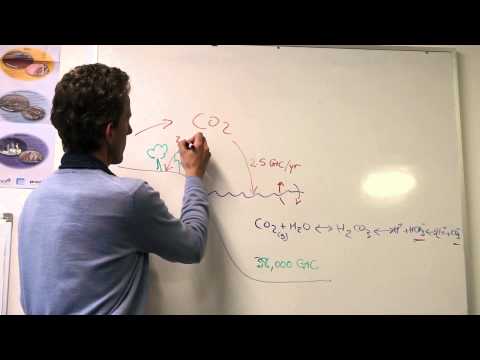Decoding the Keeling Curve from Mauna Loa | Climate Change Musings