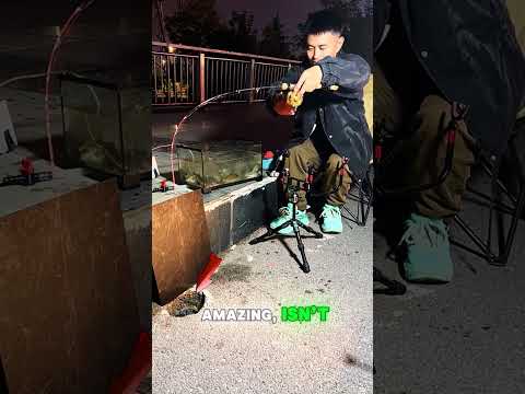 Magic fishing trap technic 🥰🤣 #fishing #fishtrap #trapping