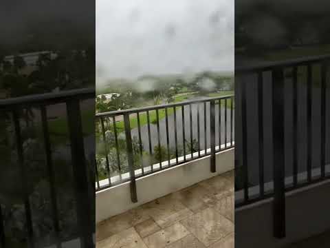 Hurricane Ian (from Naples, FL)