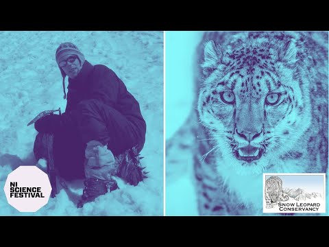 Mountain Ghost: The Science of Snow Leopards | Snow Leopard Research Nepal