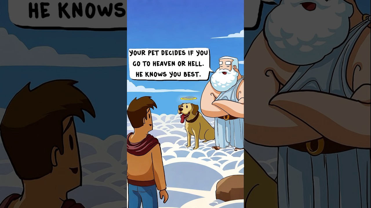 Dog Decides If You Go to Heaven?| Funny Pet Comic Dub | goofygodscomics ⭐️9.8 # 6 #funnypuppy #floof