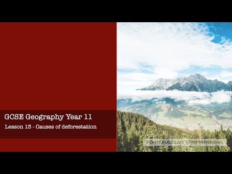 GCSE Geography Year 11 Lesson 13 Causes of deforestation