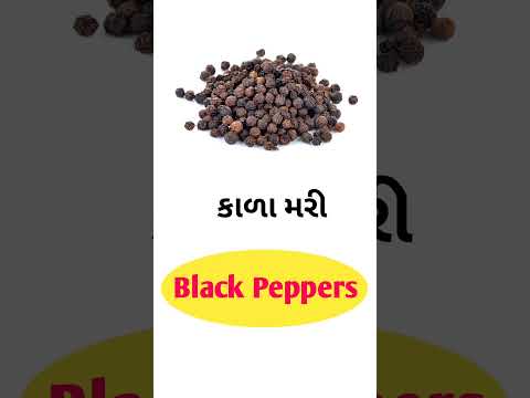 Black Peppers Meaning in Gujarati - English Gujarati Dictionary