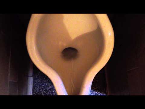 #253: 1950s "Standard" Expello Urinal and 1990 AS Afwall