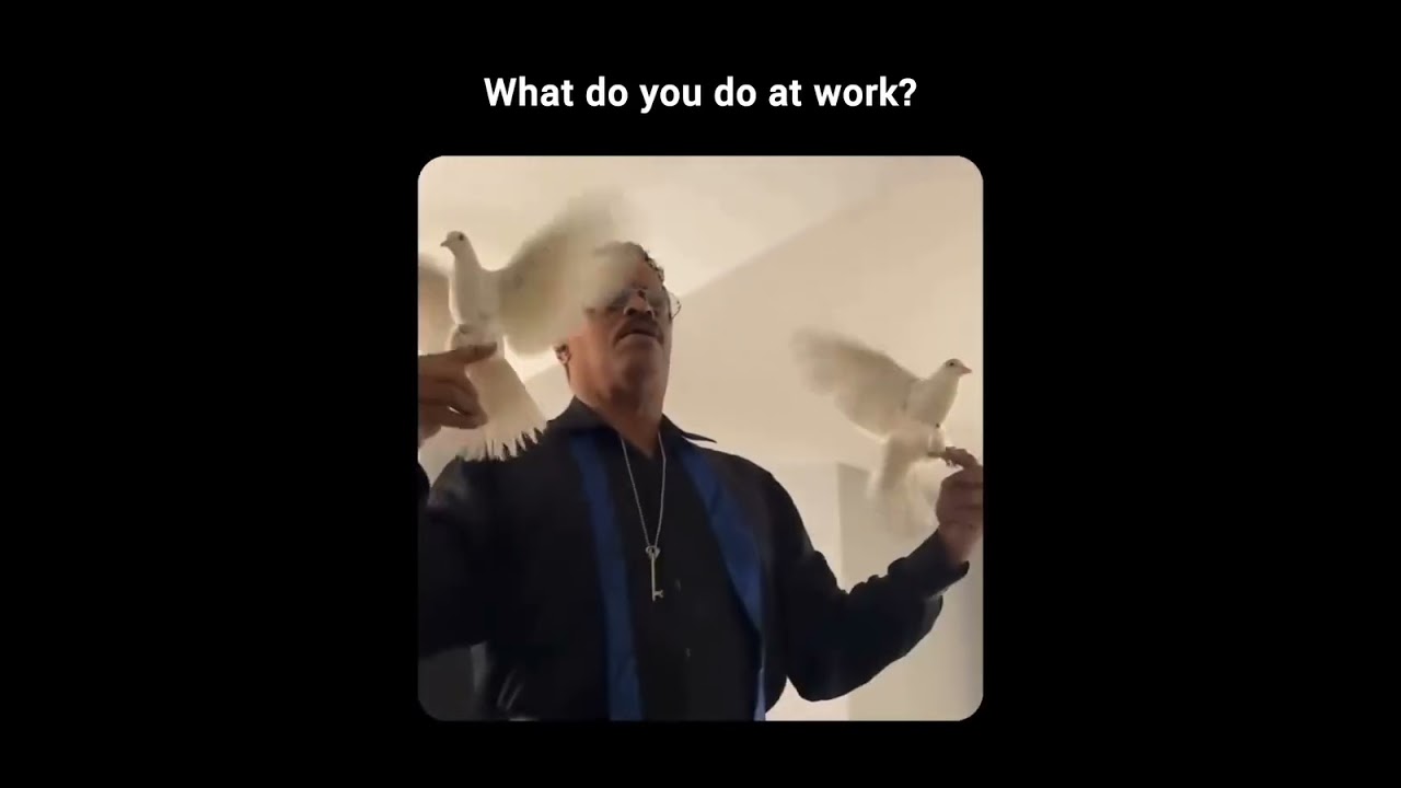 Workday Life: Mastering the Art of Ctrl+C & Ctrl+V! 🚀