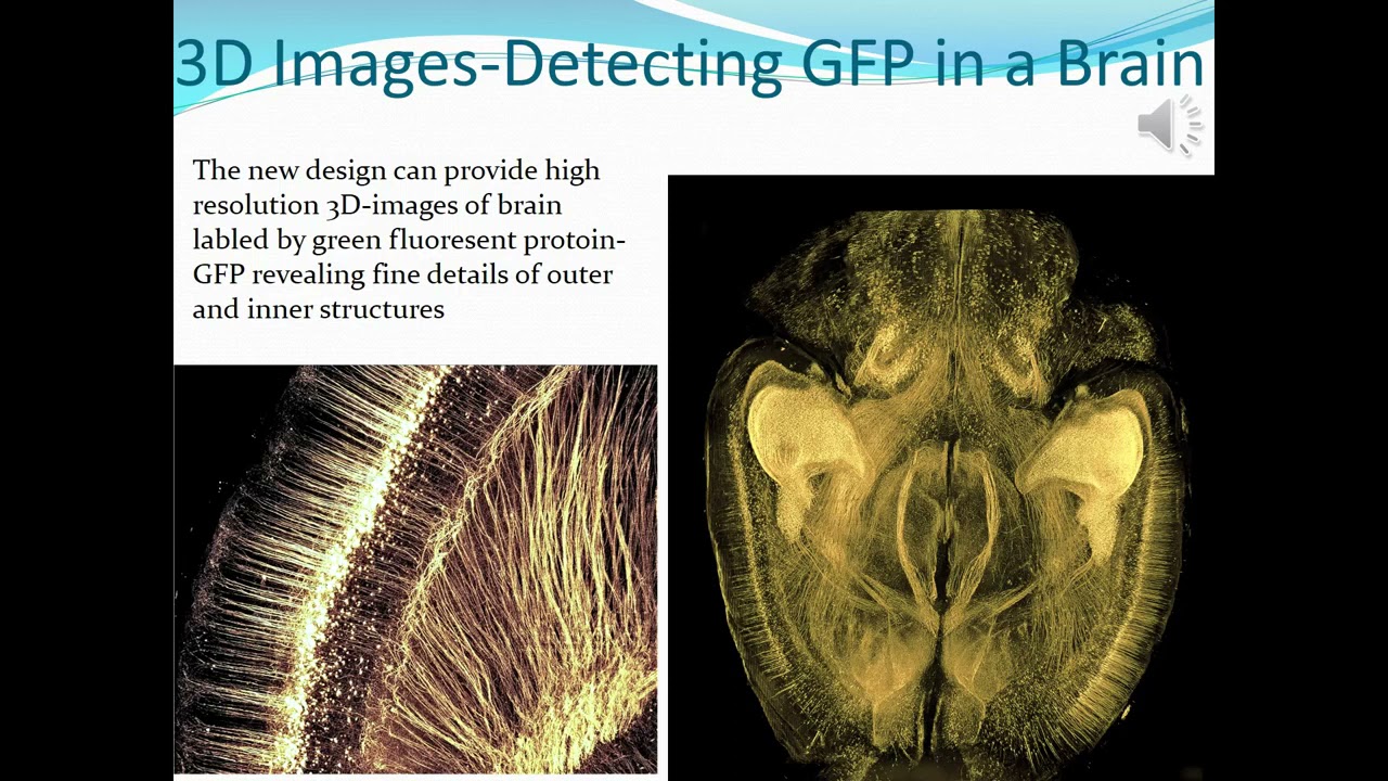 25 Saghafi - Visualizing the neuronal network
