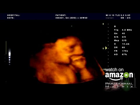 Paranormal Matrix - Womb With A View