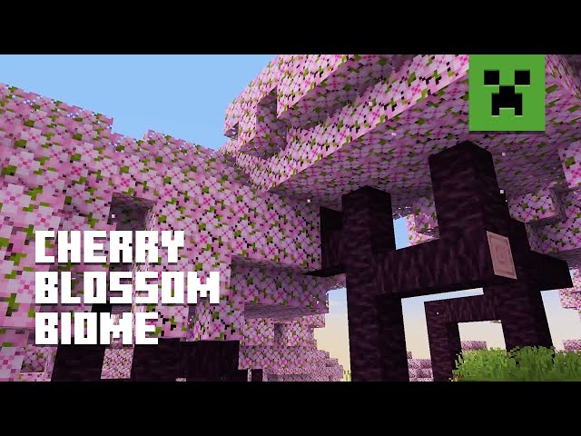 4 most beautiful Minecraft biomes to build in