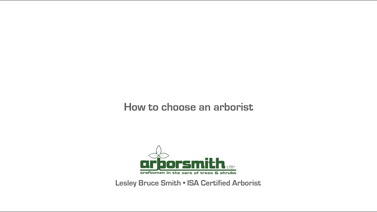How to choose an arborist
