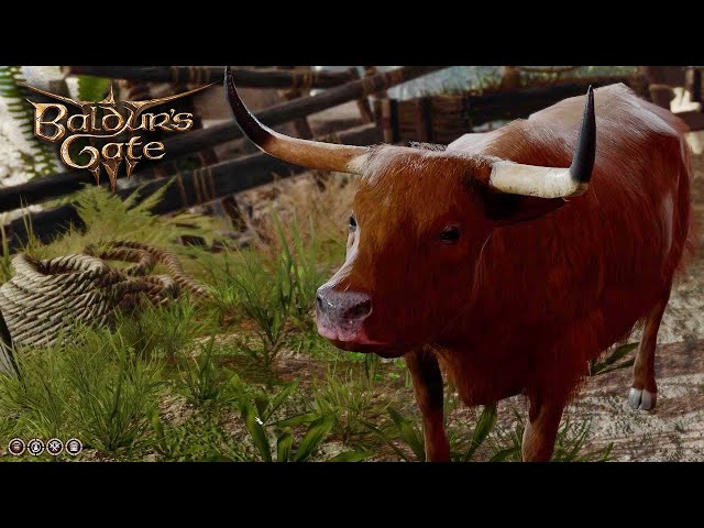 Baldur's Gate 3 Strange Ox location guide