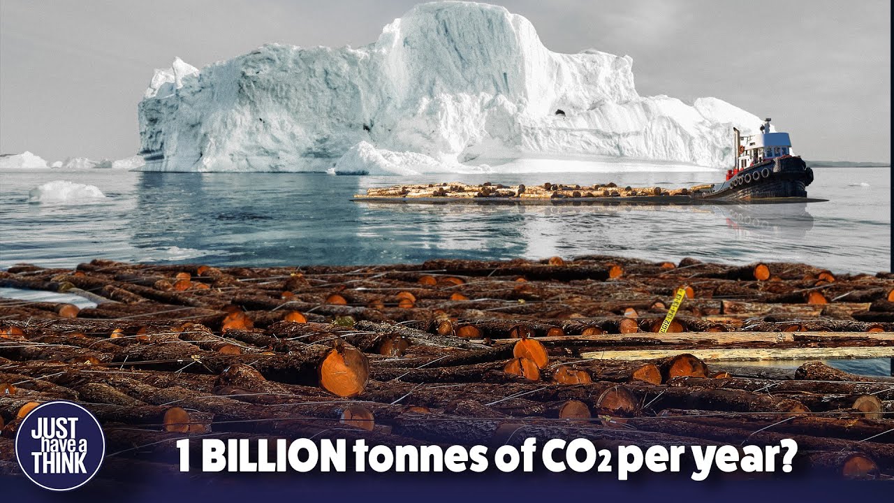 Sinking 10 Million trees in the Arctic Ocean: Brilliant climate fix or bonkers geoengineering?