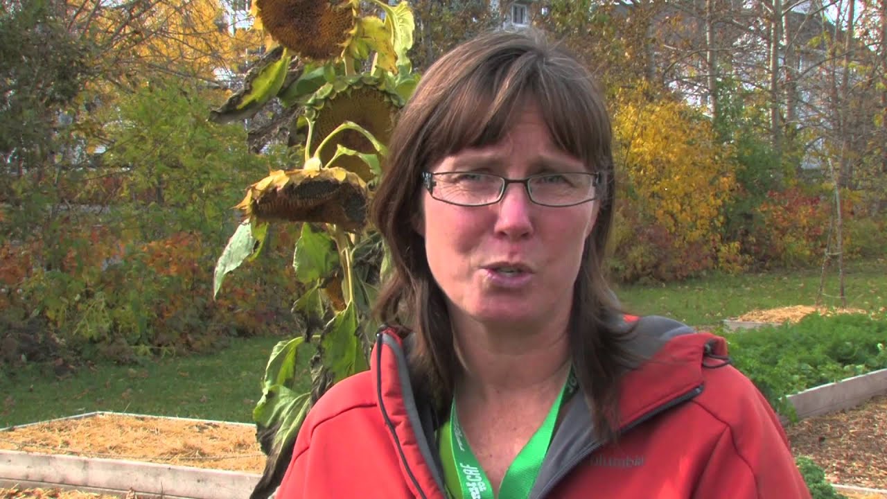 ECOSOURCE Alternative Avenues