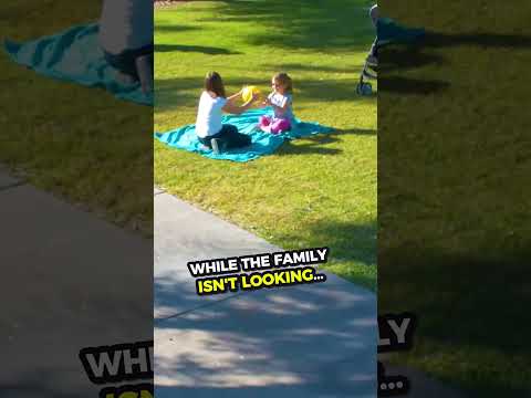 Dog SAVES Kid From KIDNAPPER 🥲❤️