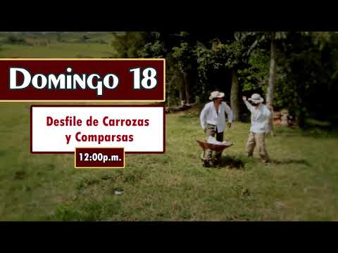 ¡Atisbe nuestros videos! | Chocaton Estore