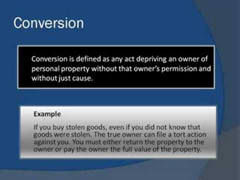 LES 306 Business Law-Tort -Intentional Tort Against Property