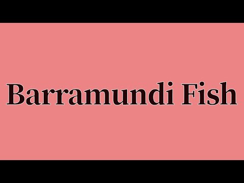 Barramundi Pronunciation and Meaning