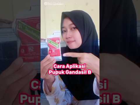 CARA APLIKASI GANDASIL B #gandasilb #berkebun