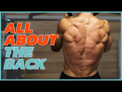 Marcus Filly's Best Back Workout Exercises That Don't Use Machines