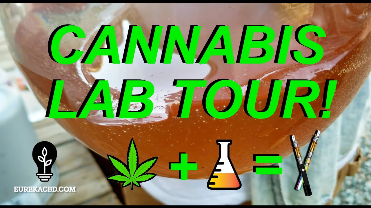 CANNABIS PROCESSING FACILITY TOUR!!!