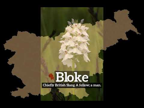 What is Bloke? | How to Say Bloke in English? | How Does Bloke Look?