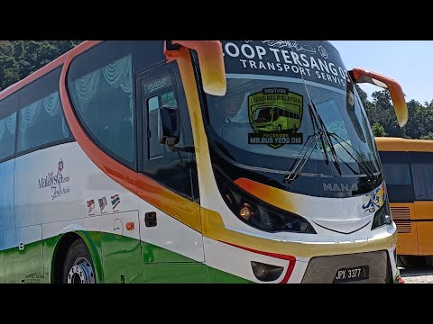 BAS PERSIARAN |COOP TERSANG 03 TRANSPORT SERVICE | MAN 18.430 |SKSBUS