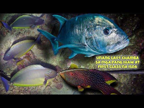 eps.372 UNANG LAOT CHAMBA SA MGA PANG IHAW AT FIRST CLASS NA ISDA🤩 #fishing #fish #kapanatv #ocean
